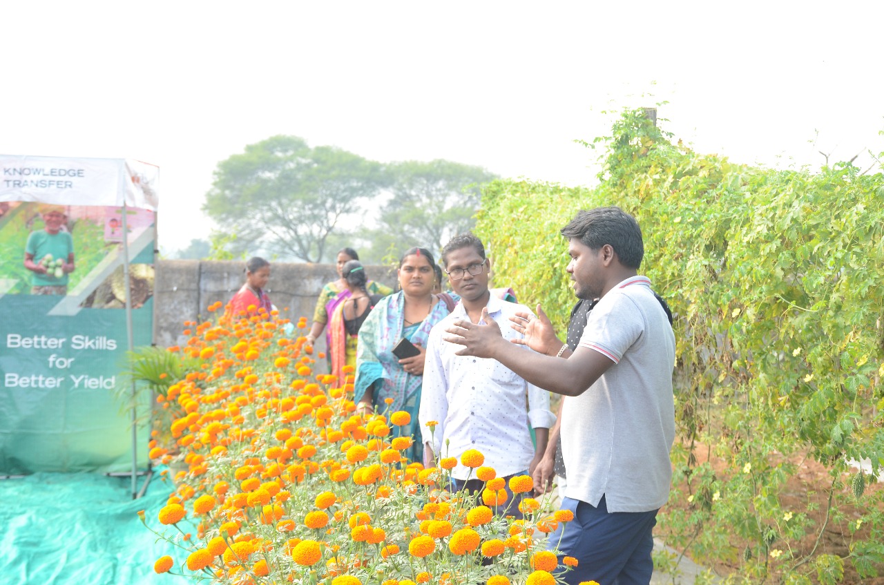 India Center of Excellence Welcomes Farmers to Mega Field Day - East ...