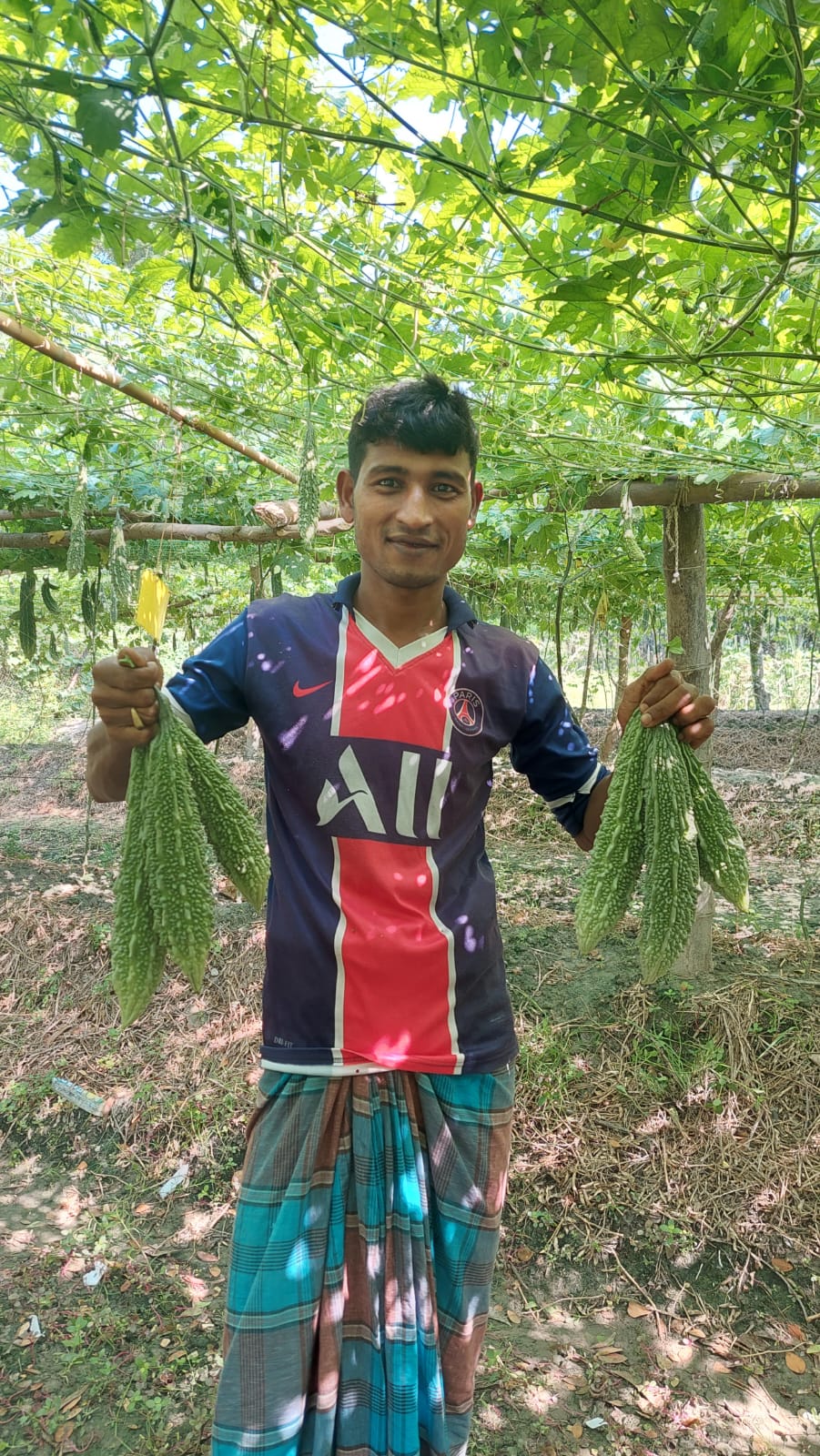 A Bitter Gourd Journey in Bangladesh - East-West Seed Knowledge Transfer