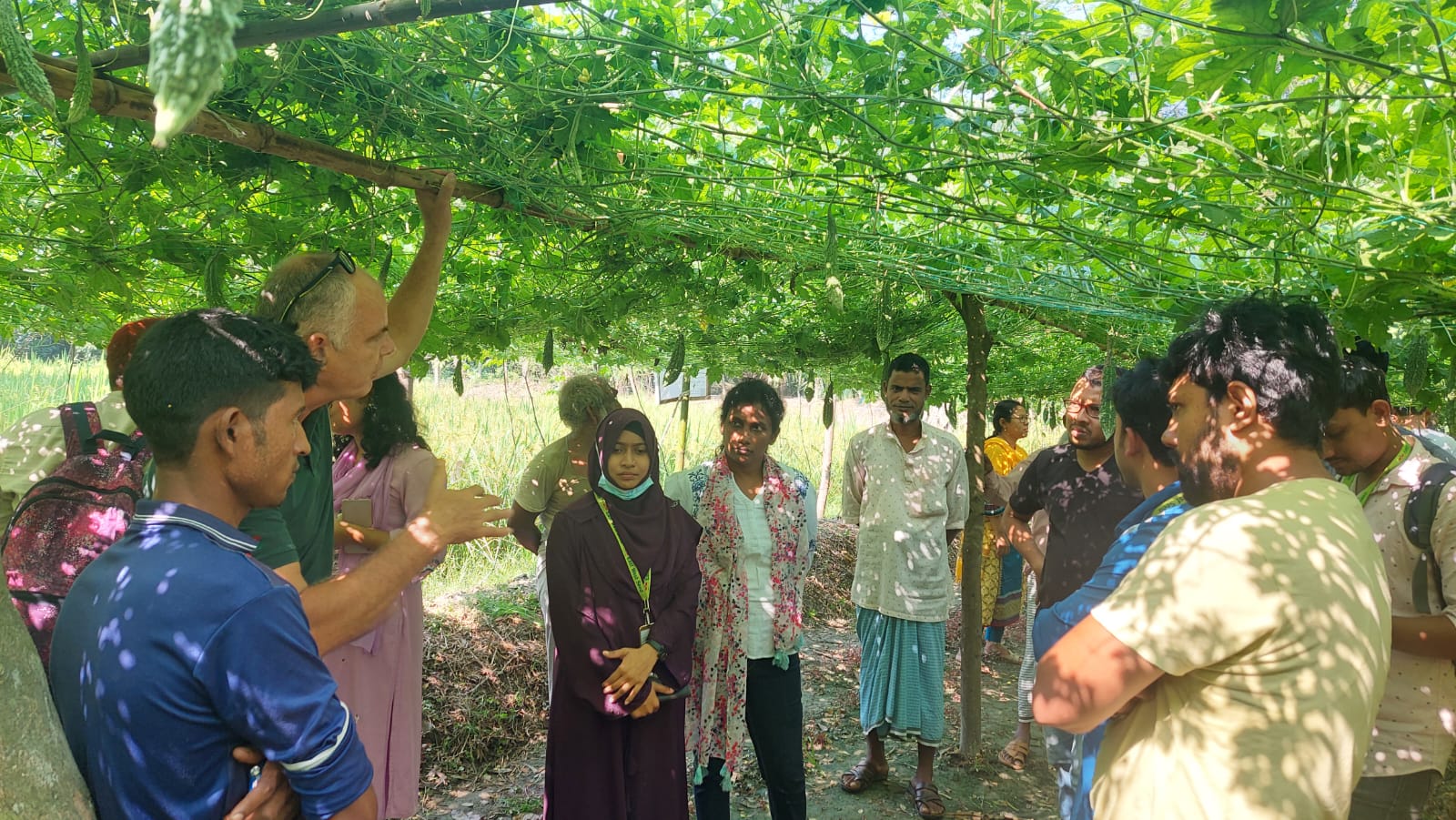 A Bitter Gourd Journey in Bangladesh - East-West Seed Knowledge Transfer