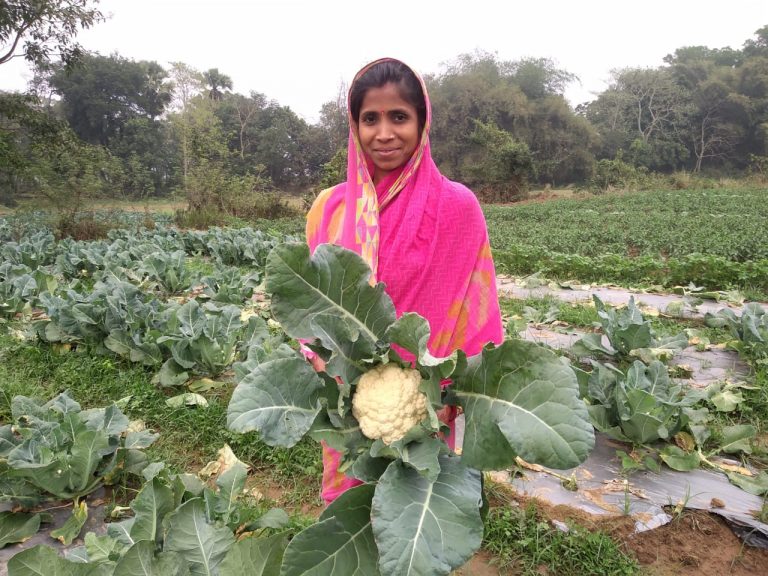 Becoming a Role Model in India - East-West Seed Knowledge Transfer