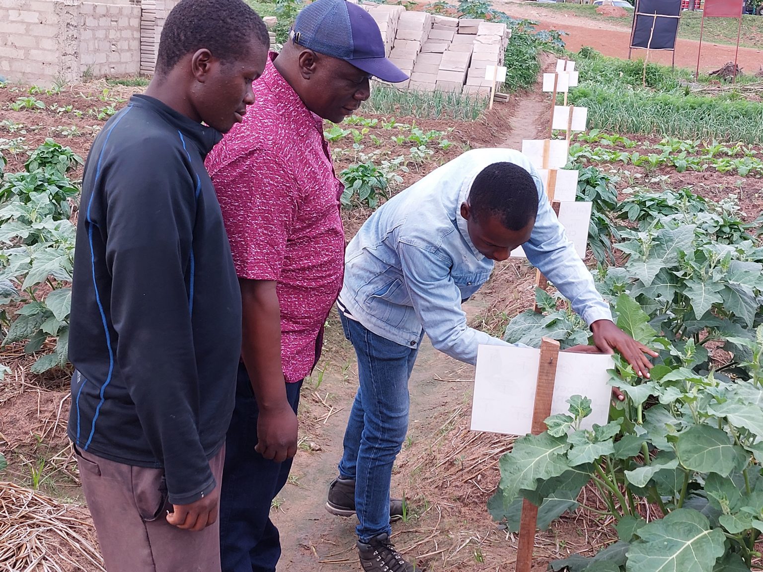 Showcasing Best Practices at the Learning Farm in Kahama - East-West ...