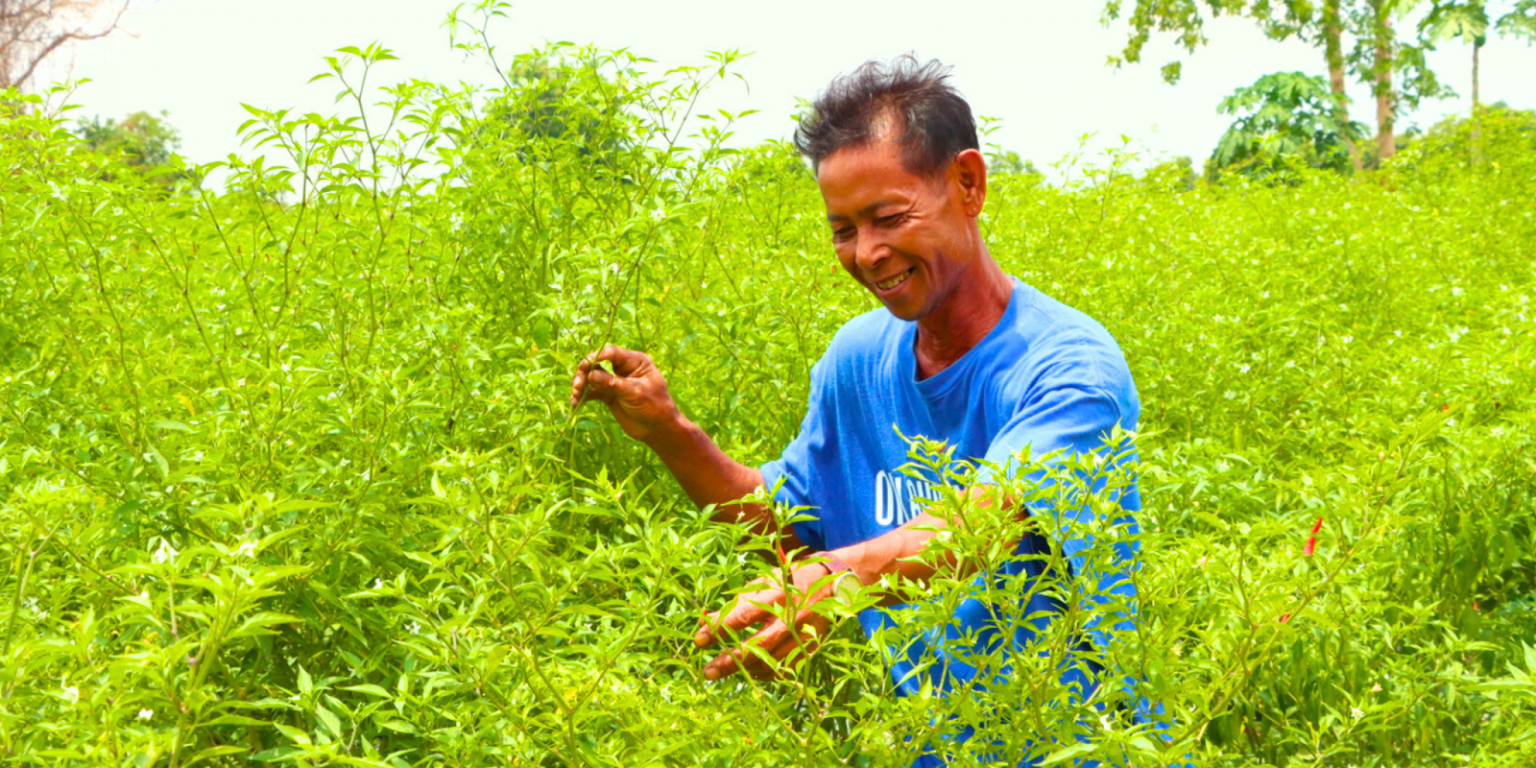 San Da's Journey to Improved Vegetable Farming - East-West Seed ...