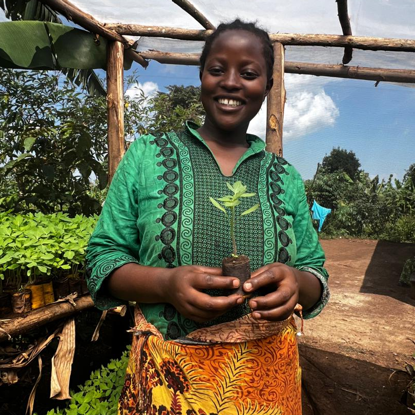 How Divine Broke Down Barriers to Quality Seedlings in Uganda - East ...