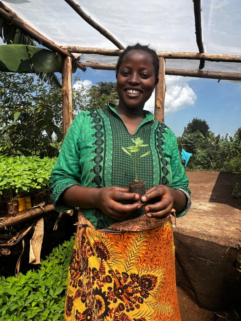 How Divine Broke Down Barriers to Quality Seedlings in Uganda - East ...